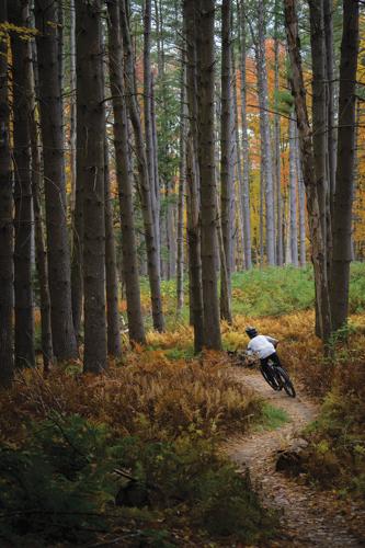 Vermont’s vast mountain bike trail network | RIDE | vtcng.com
