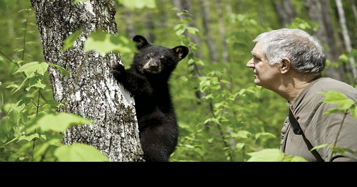 Noted wildlife biologist offers insights into bears | Outdoors | vtcng.com