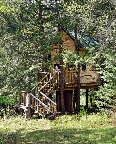 hemlock treehouse