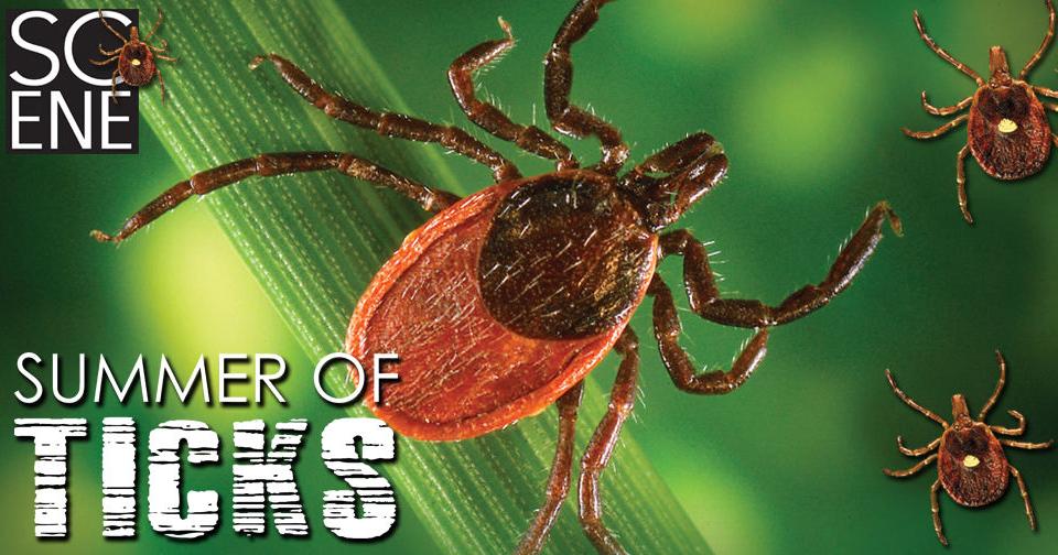 Summer of ticks | Outside | vtcng.com