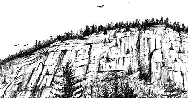 Vermont cliffs reveal varied species of flora and fauna | Community ...
