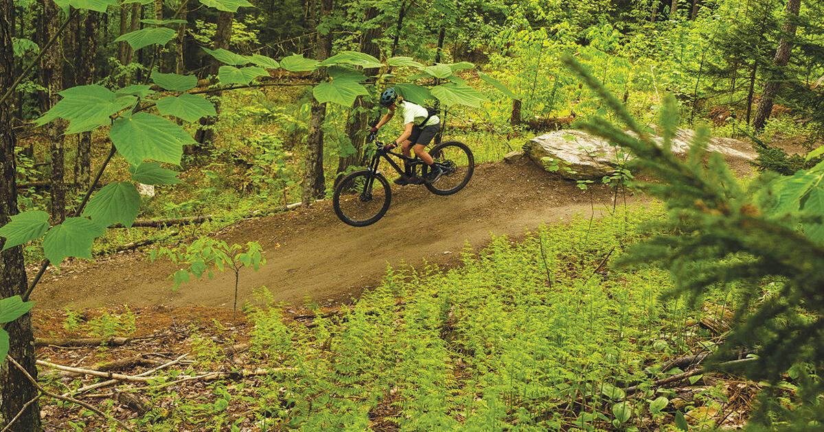 Stowe Trails Partnership celebrates 25 years | Local News | vtcng.com