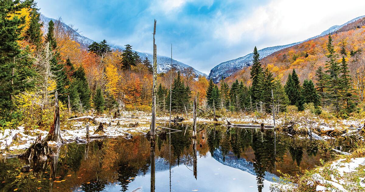 Falling for Vermont’s colors: 2024 fall foliage photo contest winners ...