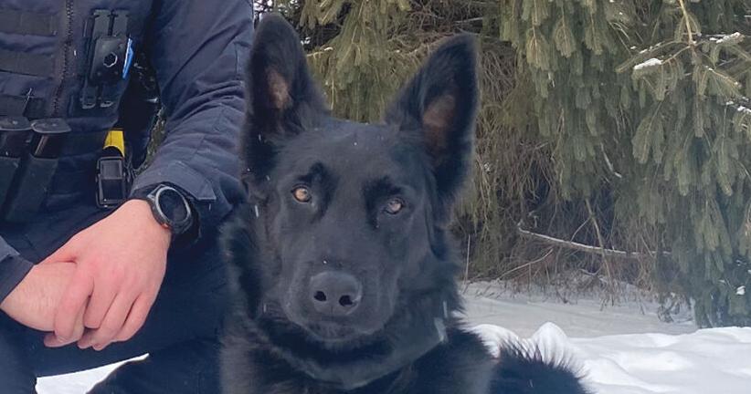 In Morristown: Detective Tetreault promoted to sergeant, canine Knox ...