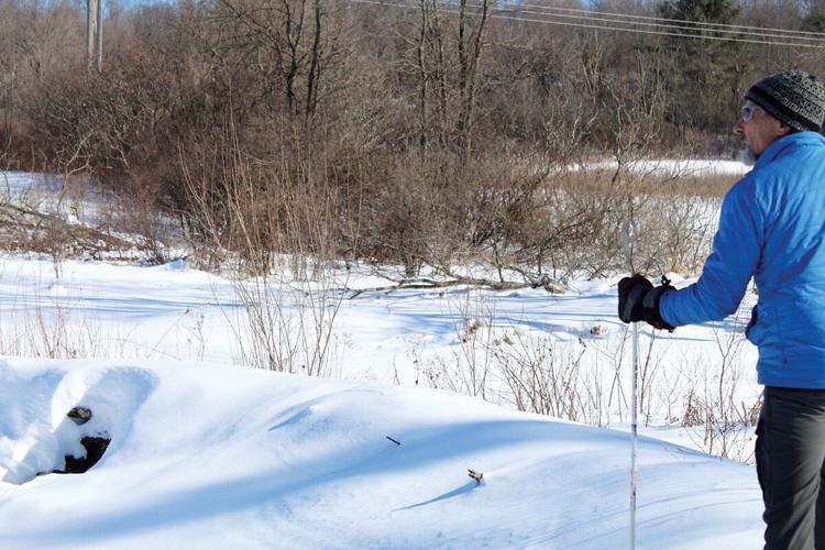 Busy beavers play outsize role in cleaning up waterways in Hinesburg ...