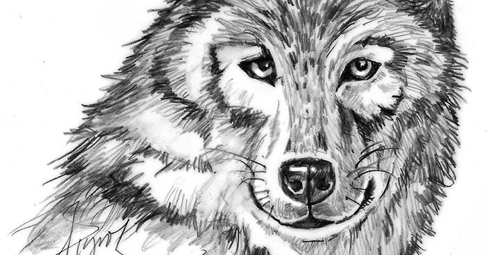 Northeastern wolves: The past, present and future | Outdoors | vtcng.com