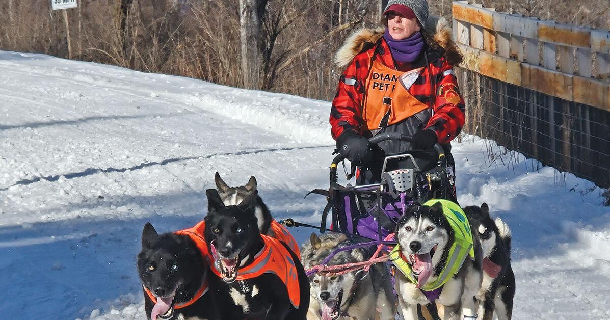 Sled dog racing returns to Oxbow in Morrisville | Spotlight | vtcng.com