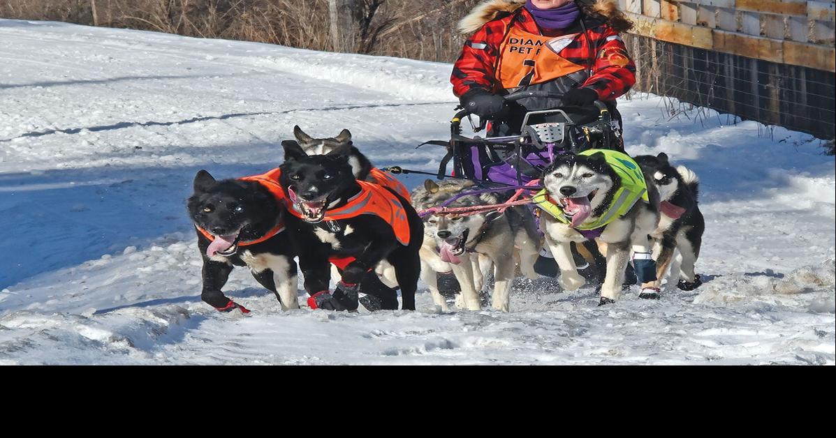 Sled dog racing returns to Oxbow in Morrisville | Spotlight | vtcng.com