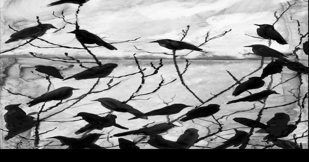 Crows use communal roosts for winter safety | Outdoors | vtcng.com