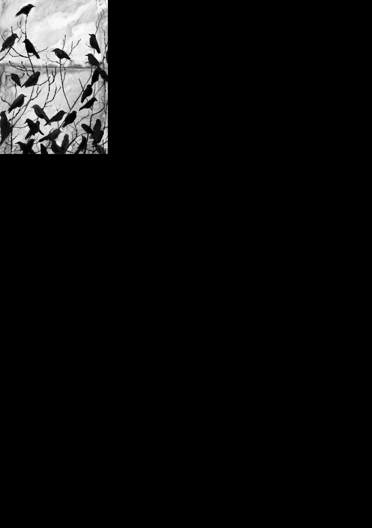 Crows use communal roosts for winter safety | Outdoors | vtcng.com