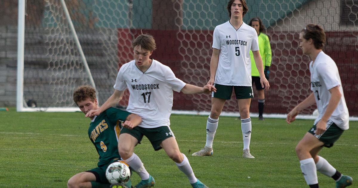 PA Wolves sting the Wasps for soccer title | Sports | vtcng.com