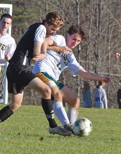 PA Wolves sting the Wasps for soccer title | Sports | vtcng.com