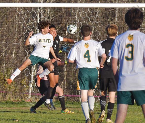 PA Wolves sting the Wasps for soccer title | Sports | vtcng.com