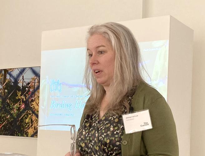 Current gallery grows a winter garden | Spotlight | vtcng.com