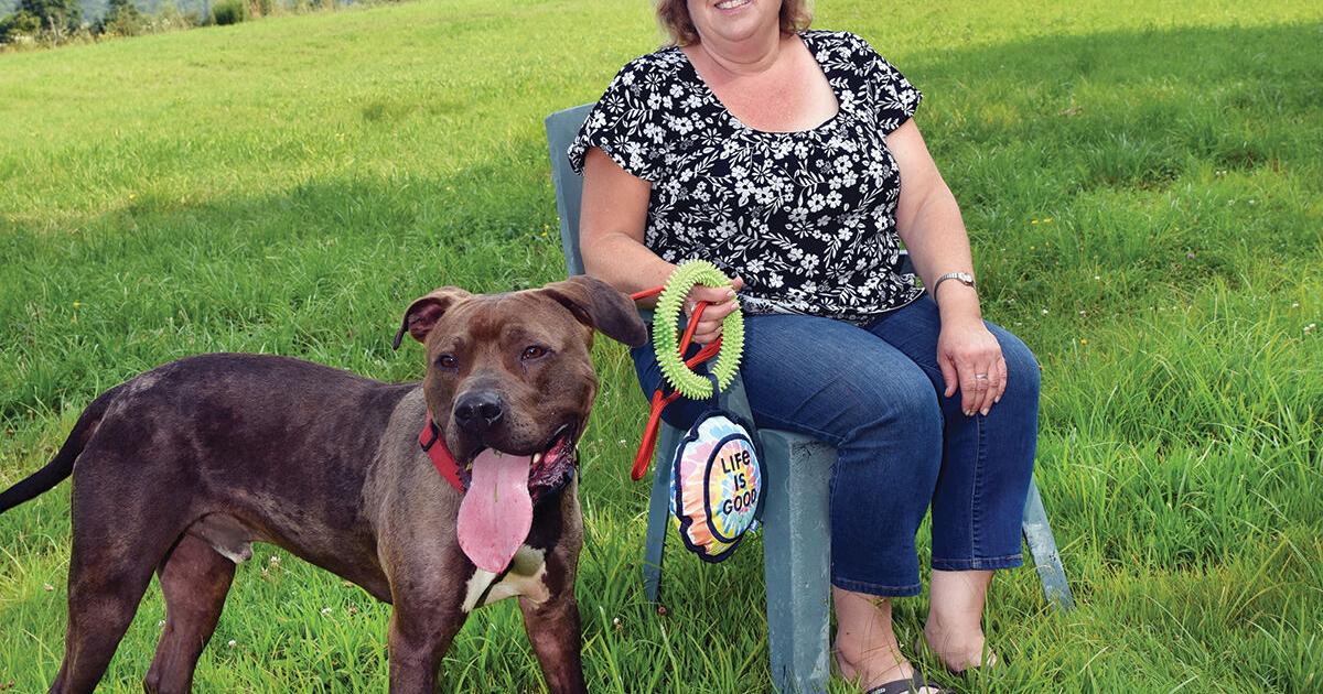 Volunteer of the year: Amy Touchette | 4393 Awards | vtcng.com