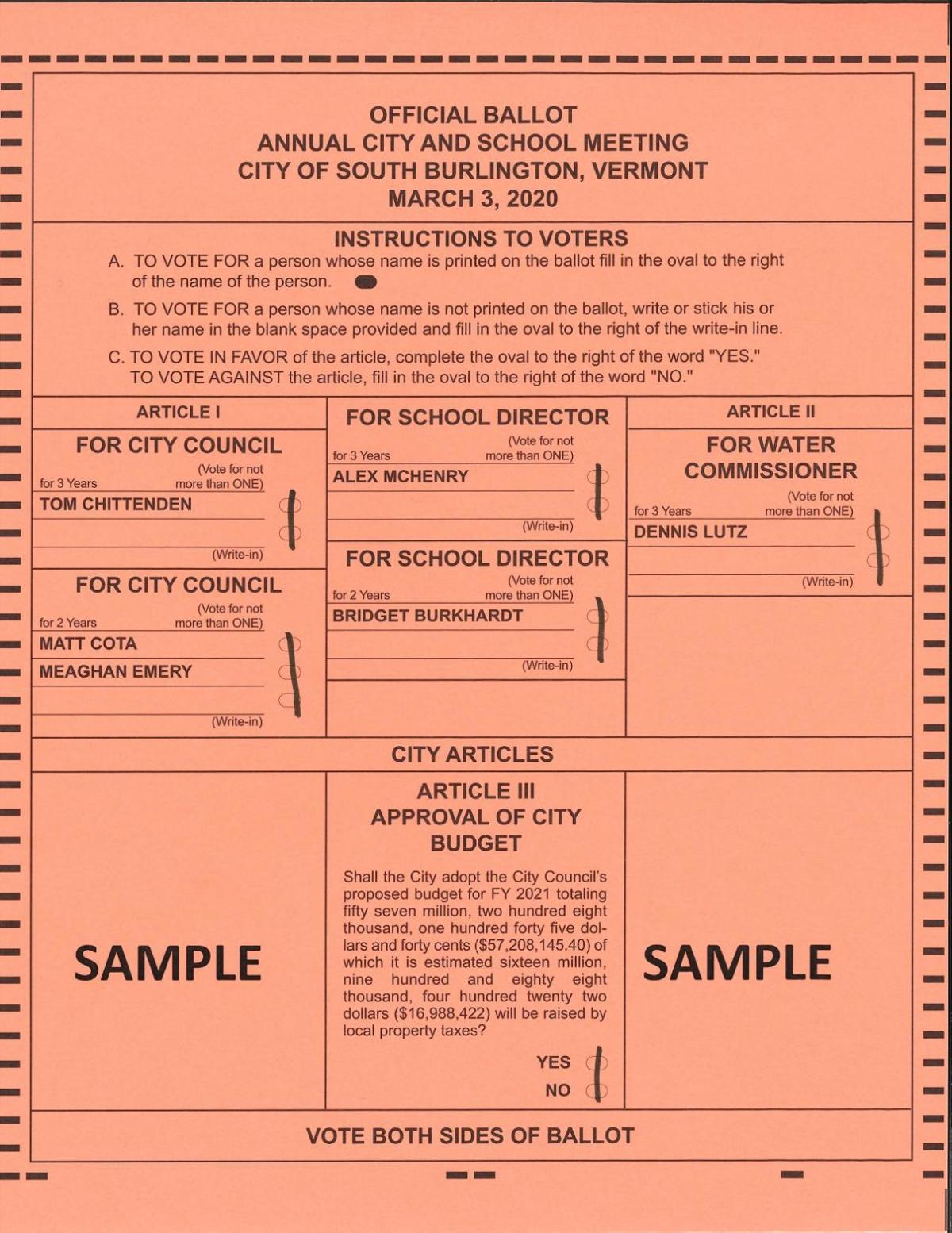 What’s on the ballot | Municipal Matters | vtcng.com