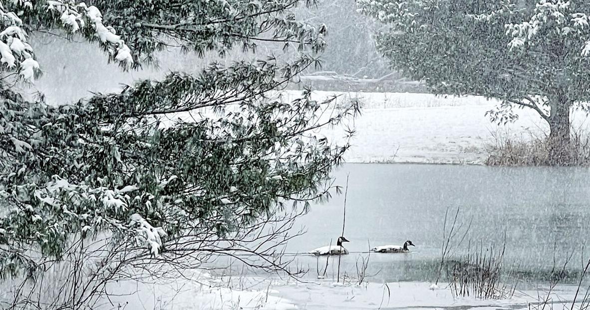 Snow be gone | Outdoors | vtcng.com