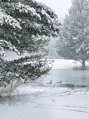 Snow be gone | Outdoors | vtcng.com