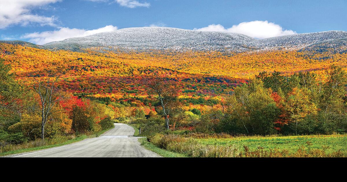 Amazing autumn: 2022 fall foliage photo contest winners | Spotlight ...