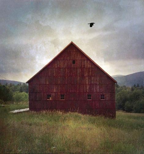 Shelburne Vineyard to exhibit the photographs of Lincoln artist ...