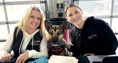 Passion 4 Paws finds homes for more dogs than ever | Local News | vtcng.com