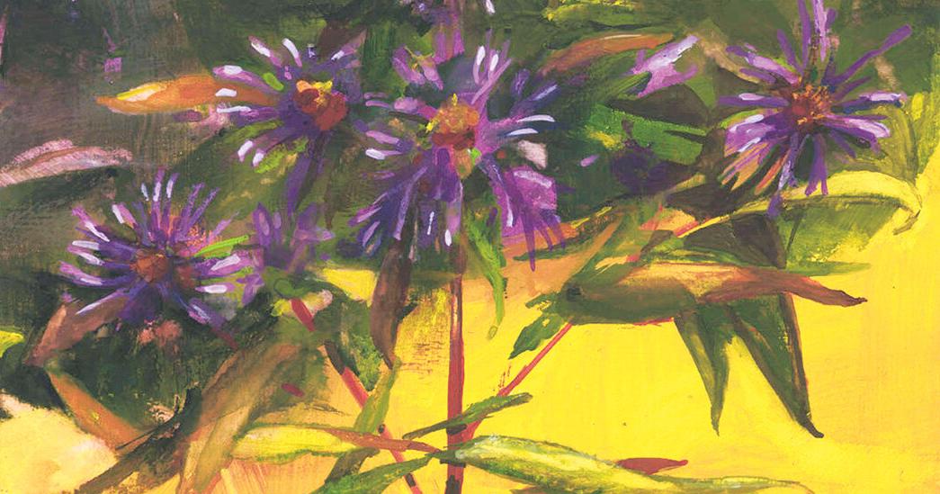New England American asters: stars of late summer | Outside | vtcng.com