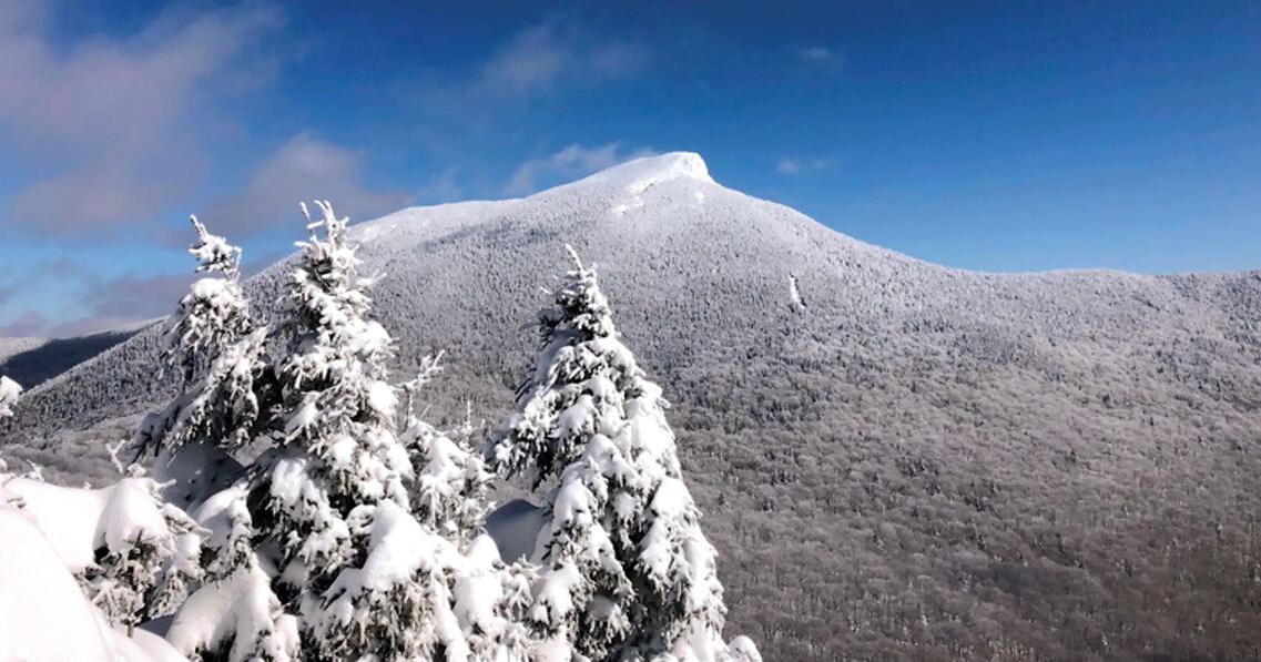 Forest activists seek reconsideration in Camel’s Hump logging case ...