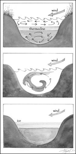 Lake turnover process turns lake world topsy turvy | Outside | vtcng.com