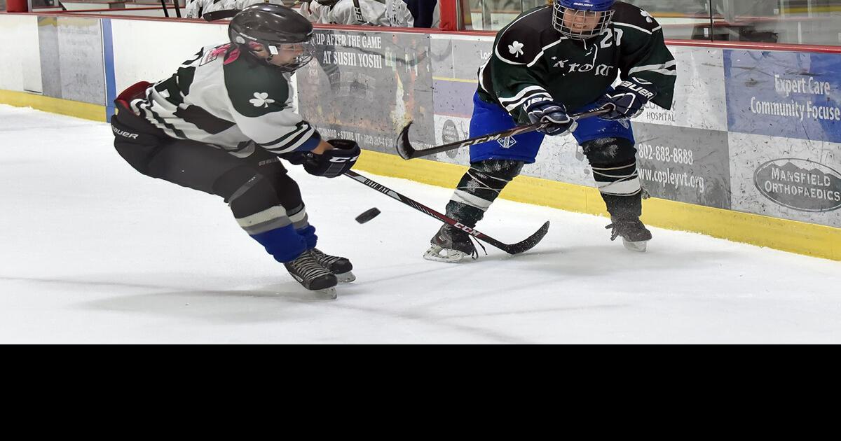 Later Raider skaters | Sports | vtcng.com