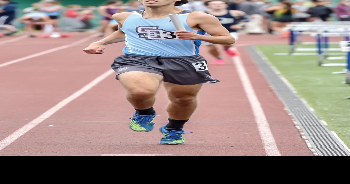 Hurdlers pace Wolves during state track championships | Sports | vtcng.com