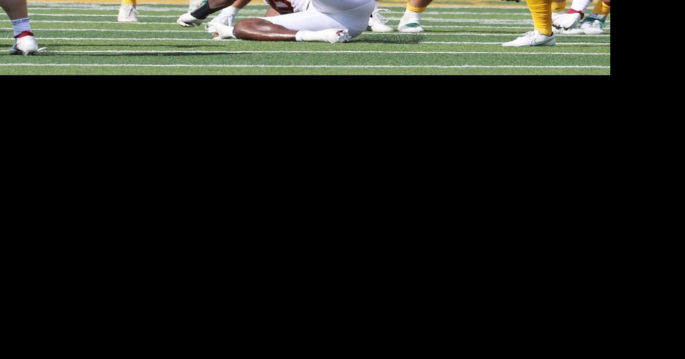 Punter Palmer Williams commits to Baylor