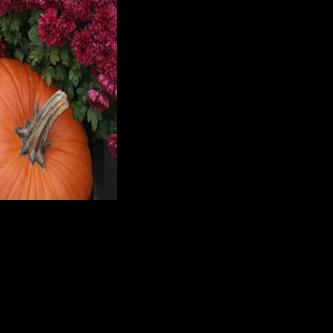 Spring, summer plants can add color to Central Texas fall