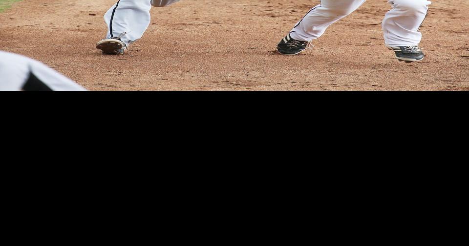 Dawson bows to top-ranked Douglass, 9-0, in 1A baseball semifinal