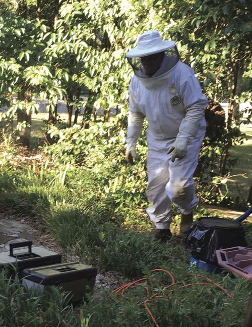 Garden: Protect bees that are critical to nature | Waco Today ...