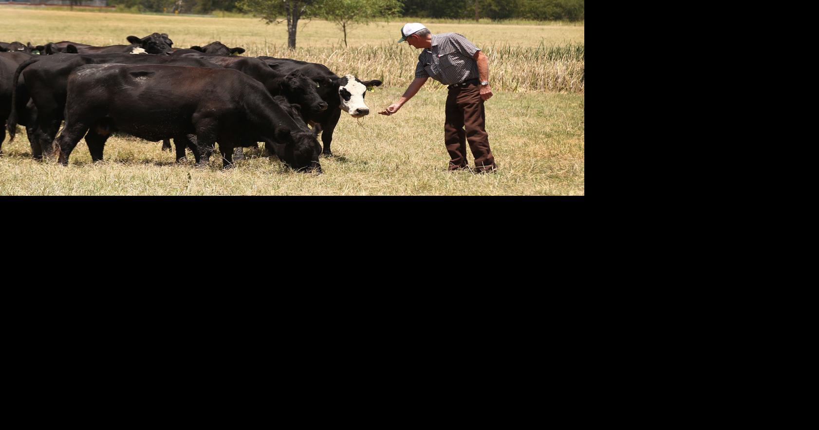 Waco-area news briefs: Leasing workshop for ranchers planned for Feb. 27