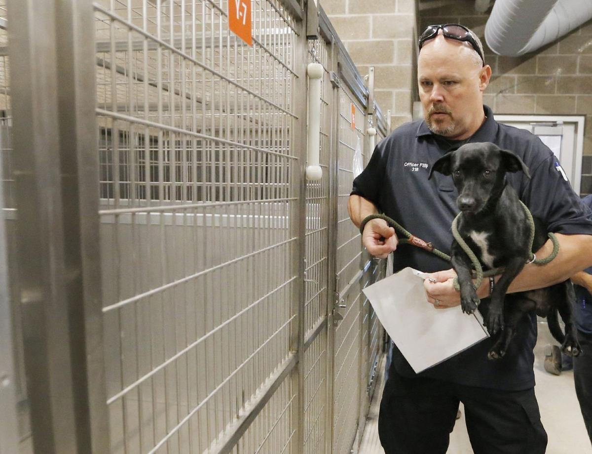 Dogs move into new digs at Waco Animal Shelter | Government | wacotrib.com