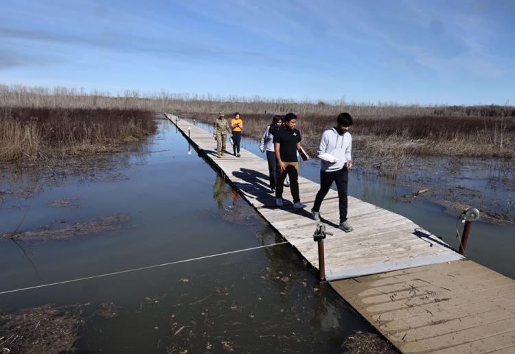 Replenished Lake Waco Wetlands back on track as living lab