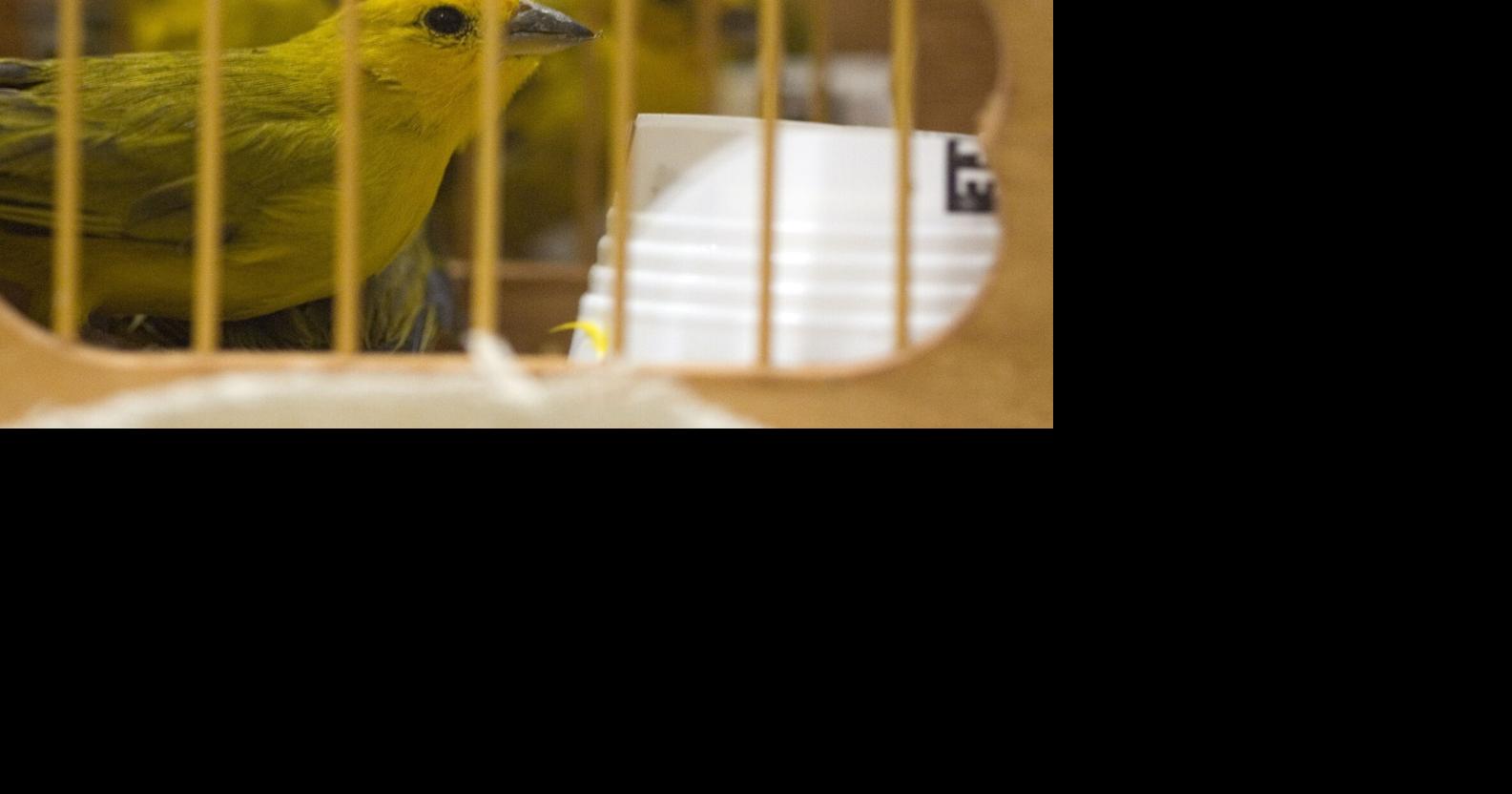 Ray Perryman: The canary in Texas' coal mine