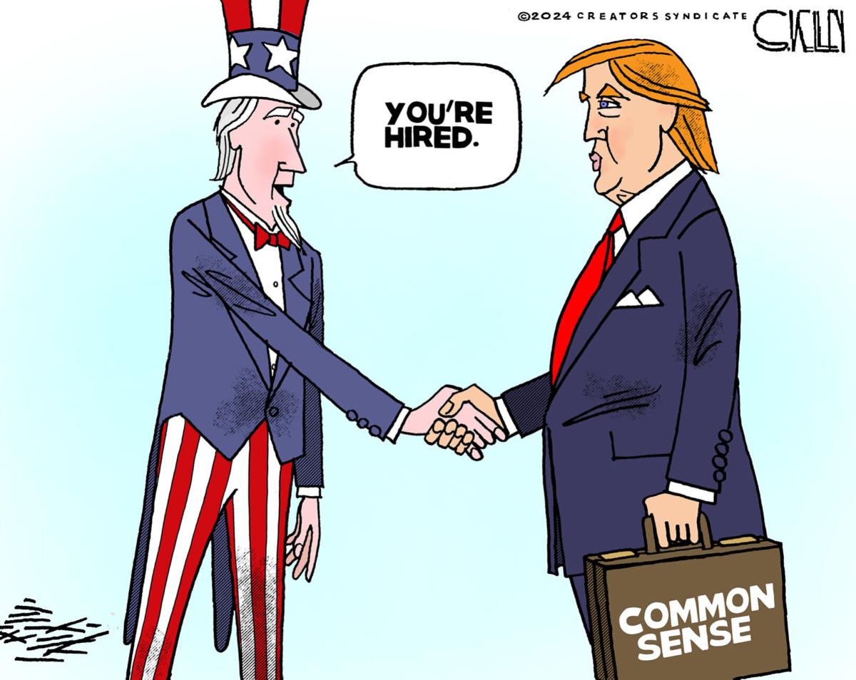 20 political cartoons draw out Donald Trump's win