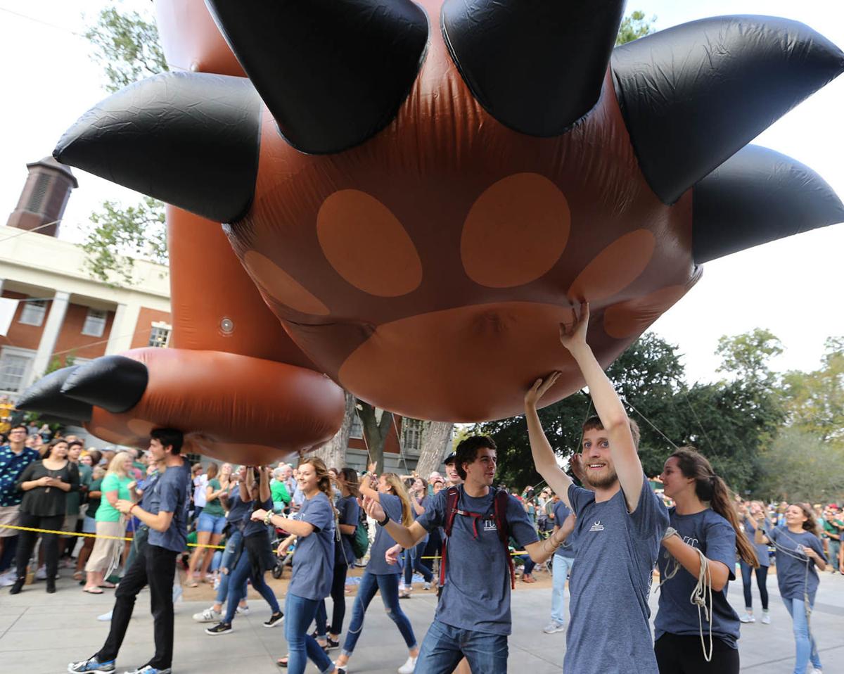 Balloons buoy Baylor Homecoming parade
