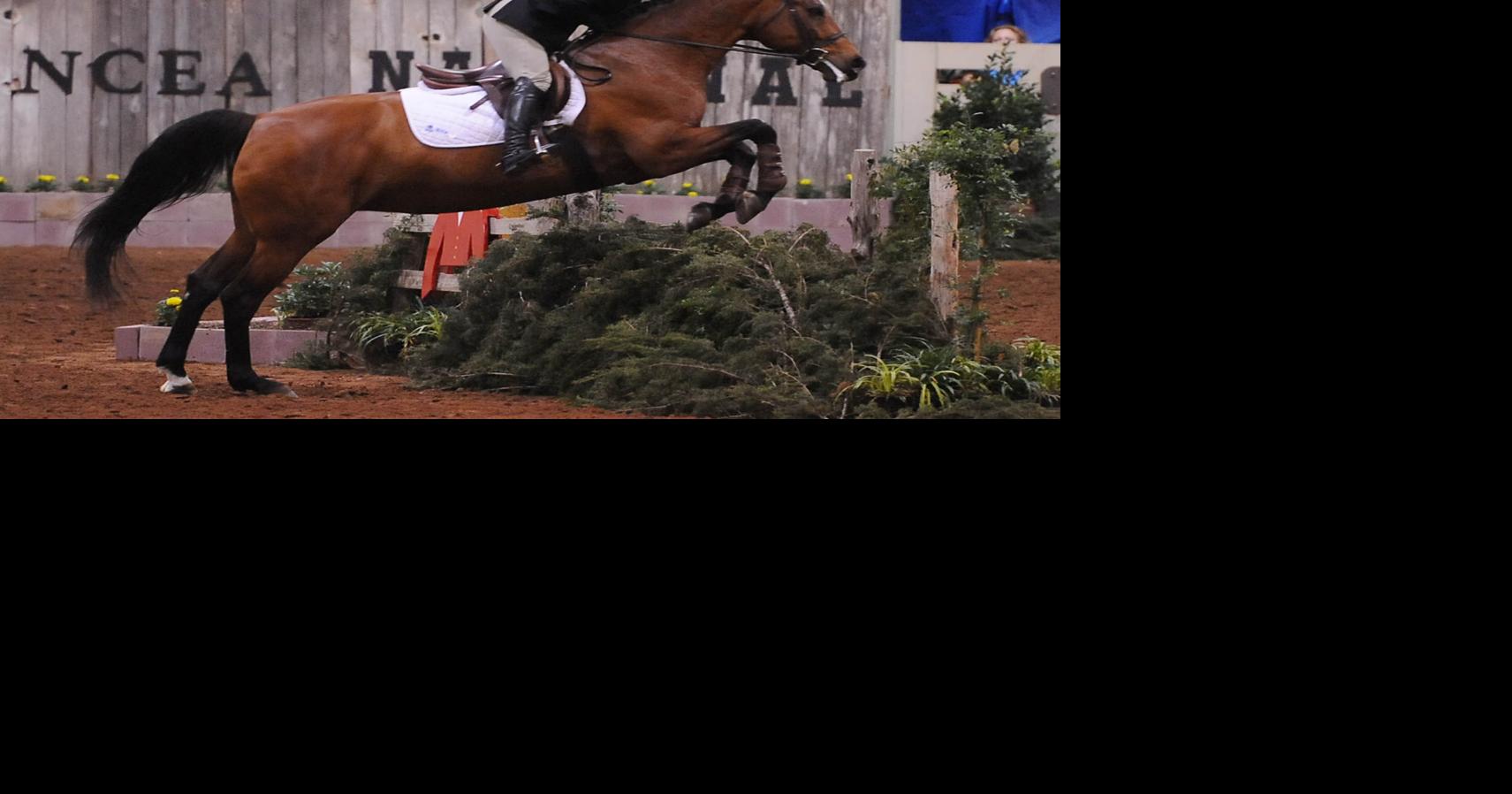 Baylor Equestrian All-Decade: Nobody dominated like Schaefer