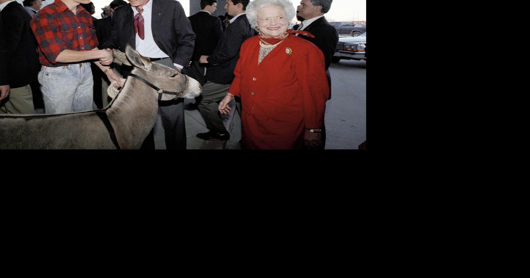 Remembering Texas sports history, April 30: Fat Stock Show debuts in ...