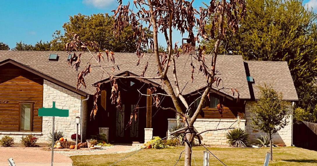 Neil Sperry: Leaves on Chinese pistachio tree shriveling