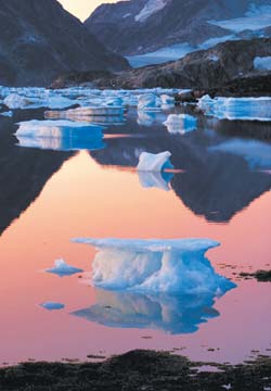 Fred Gehlbach: We are the cause behind a depleted Earth