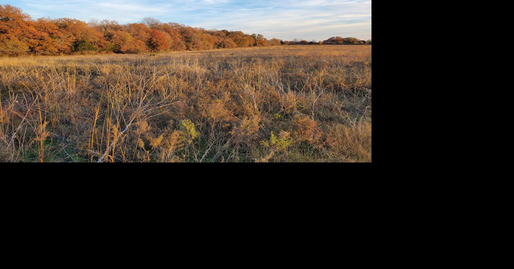 Brazos River ranch gets perpetual protection from developing