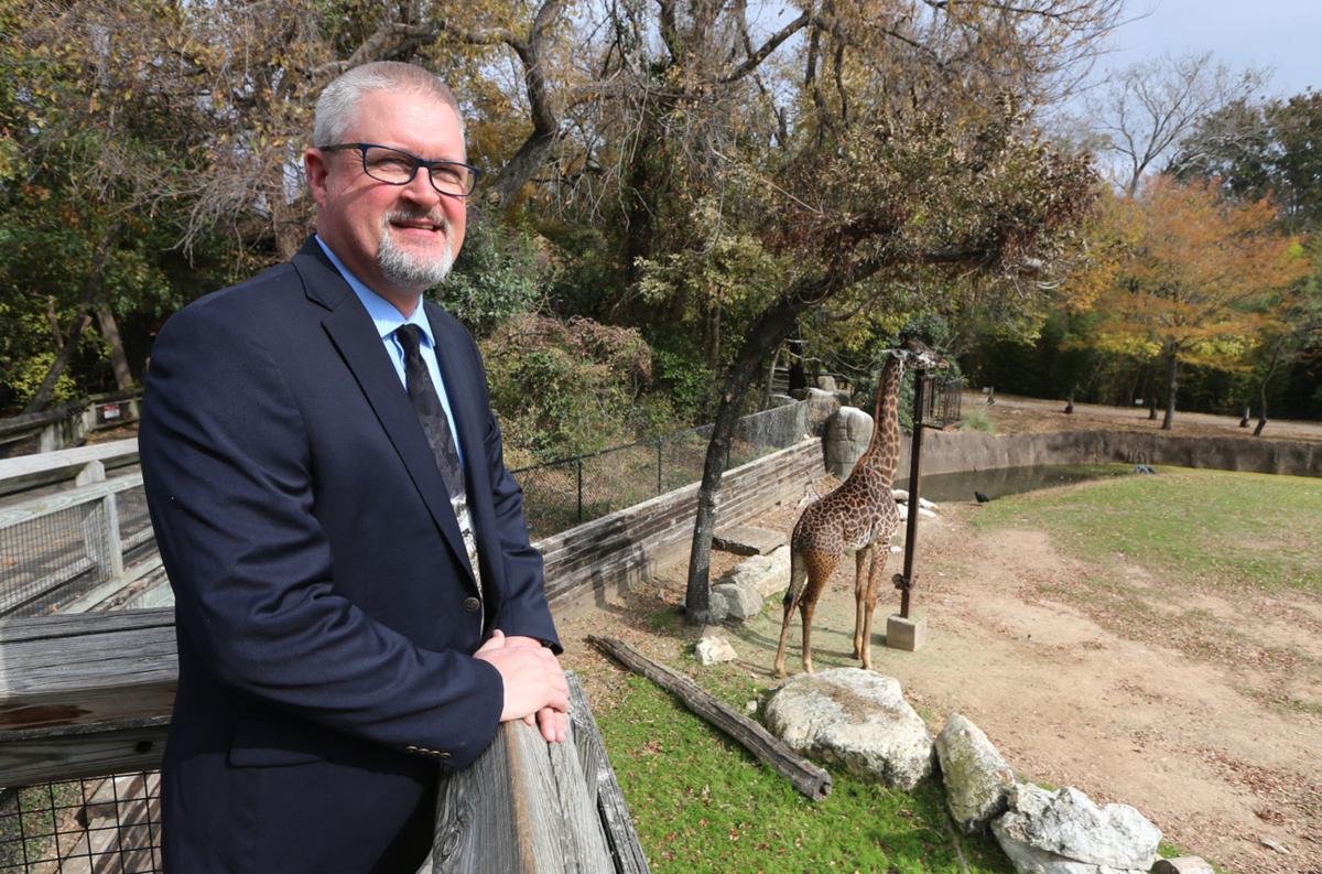 Top Cameron Park Zoo leader to be replaced by zoo veteran