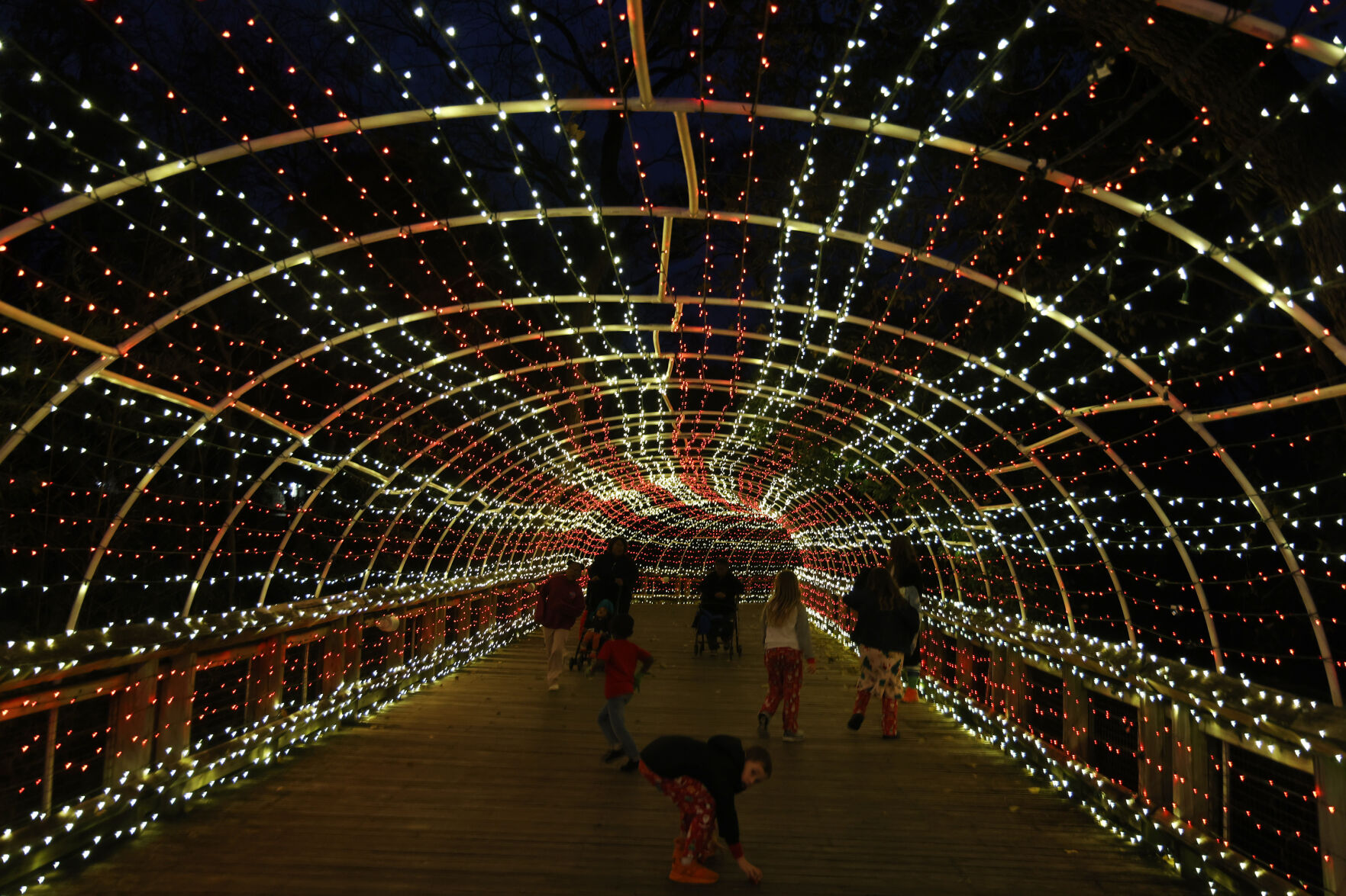 PHOTOS: Wild Lights transforms nights at Cameron Park Zoo