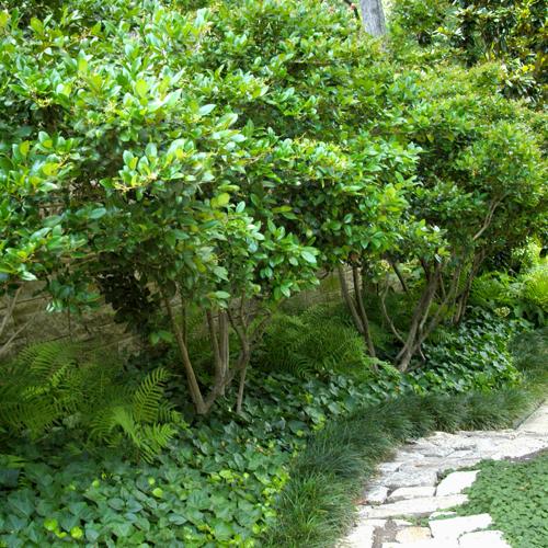 Sperry - Quote me correctly before tossing me under the bus