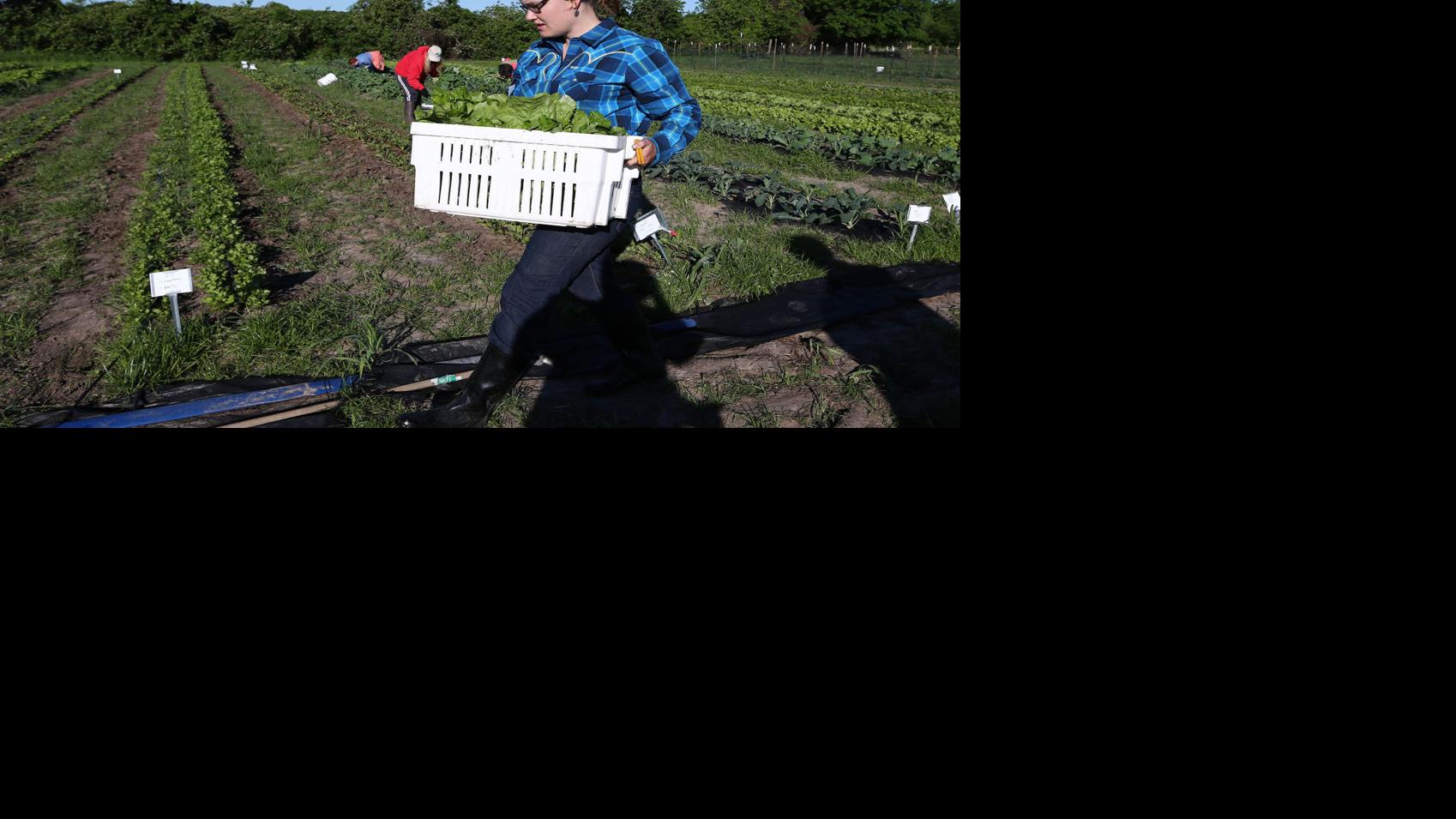 World Hunger Farm | Uploaded Photos | wacotrib.com