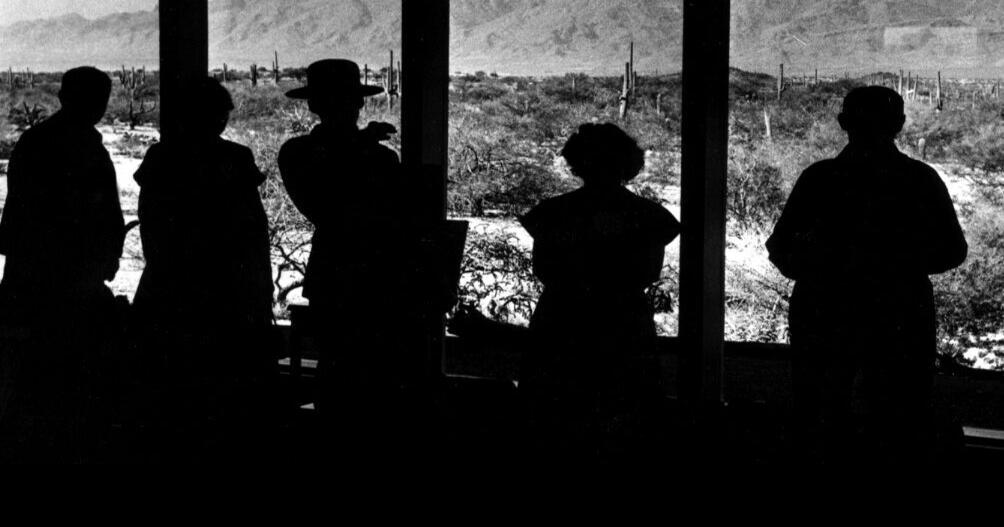 Photos: Saguaro National Park through the years